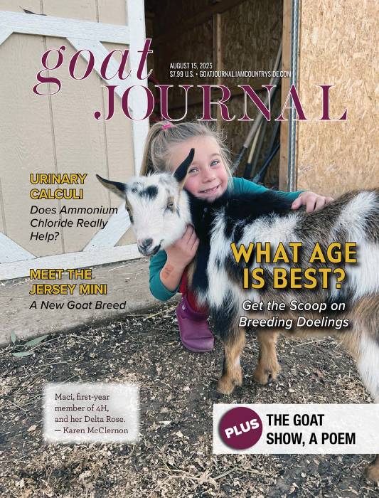 Goat Journal Digital Issue 12 - Goat Journal
